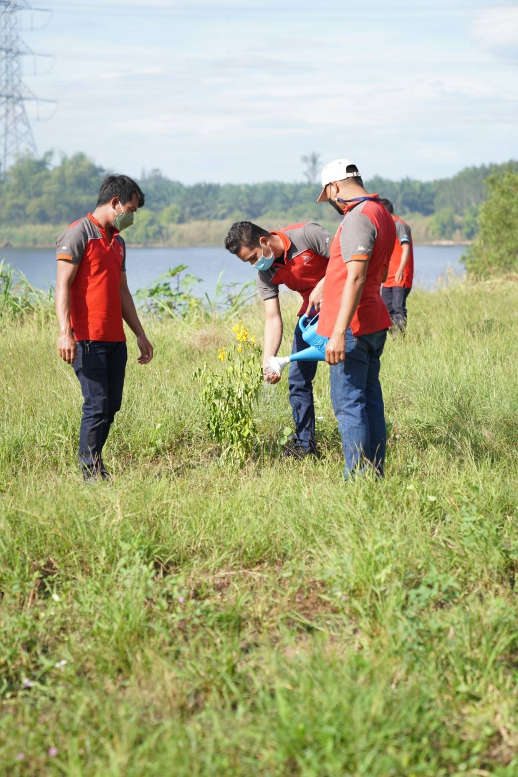 CSR activities planting trees to reduce global warming – Suksomboon
