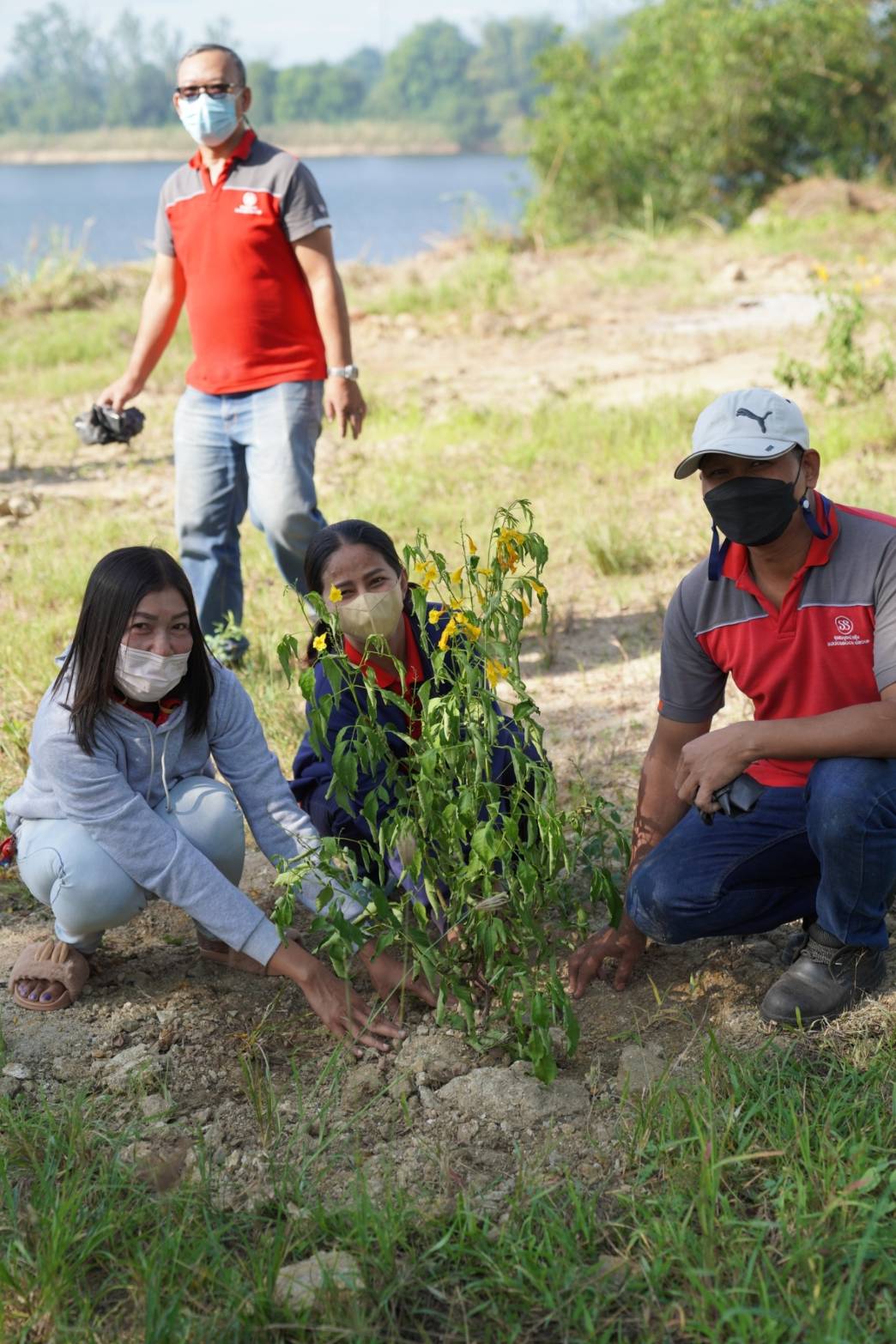 CSR activities planting trees to reduce global warming – Suksomboon