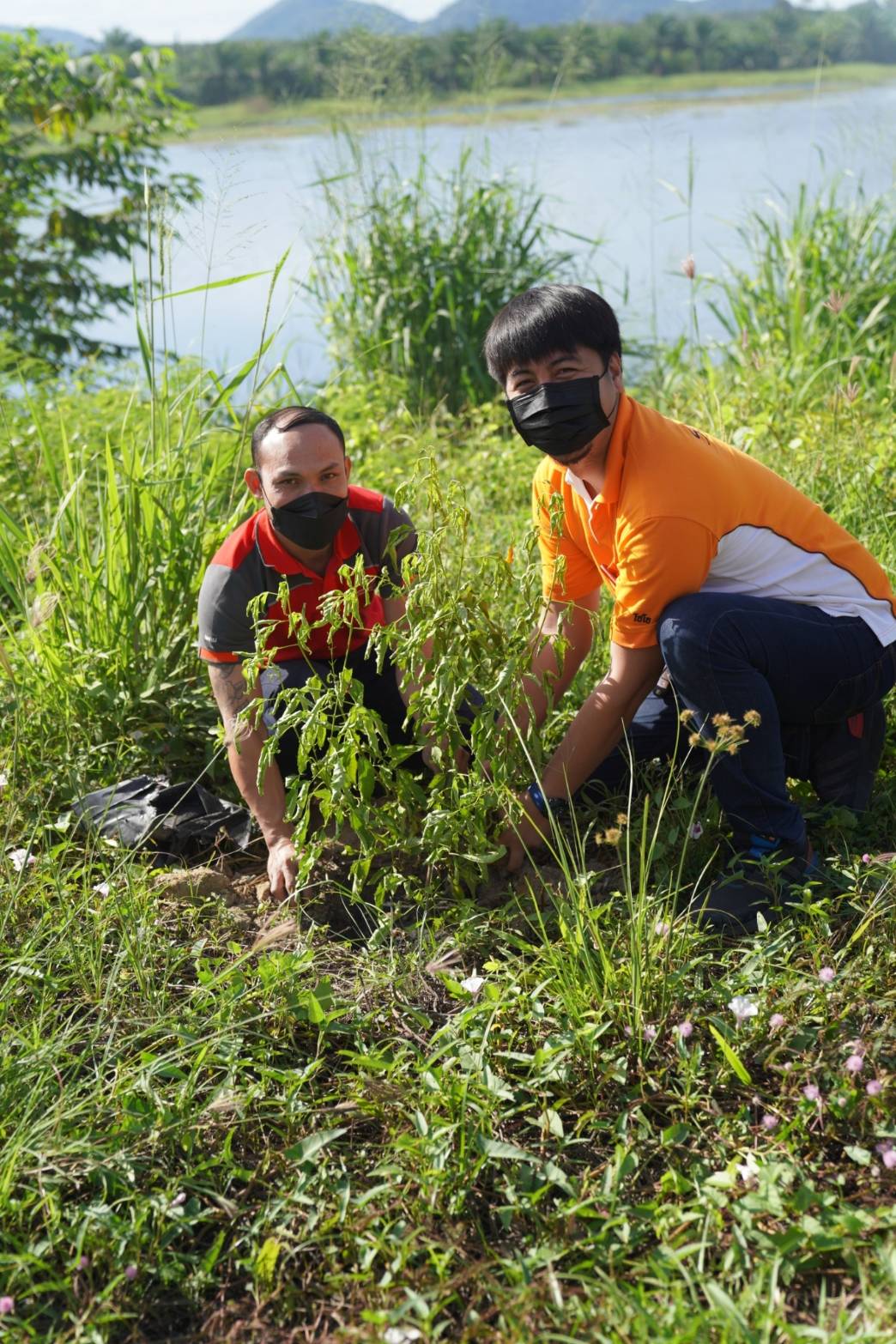 CSR activities planting trees to reduce global warming – Suksomboon