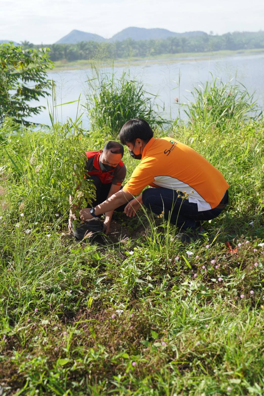 CSR activities planting trees to reduce global warming – Suksomboon