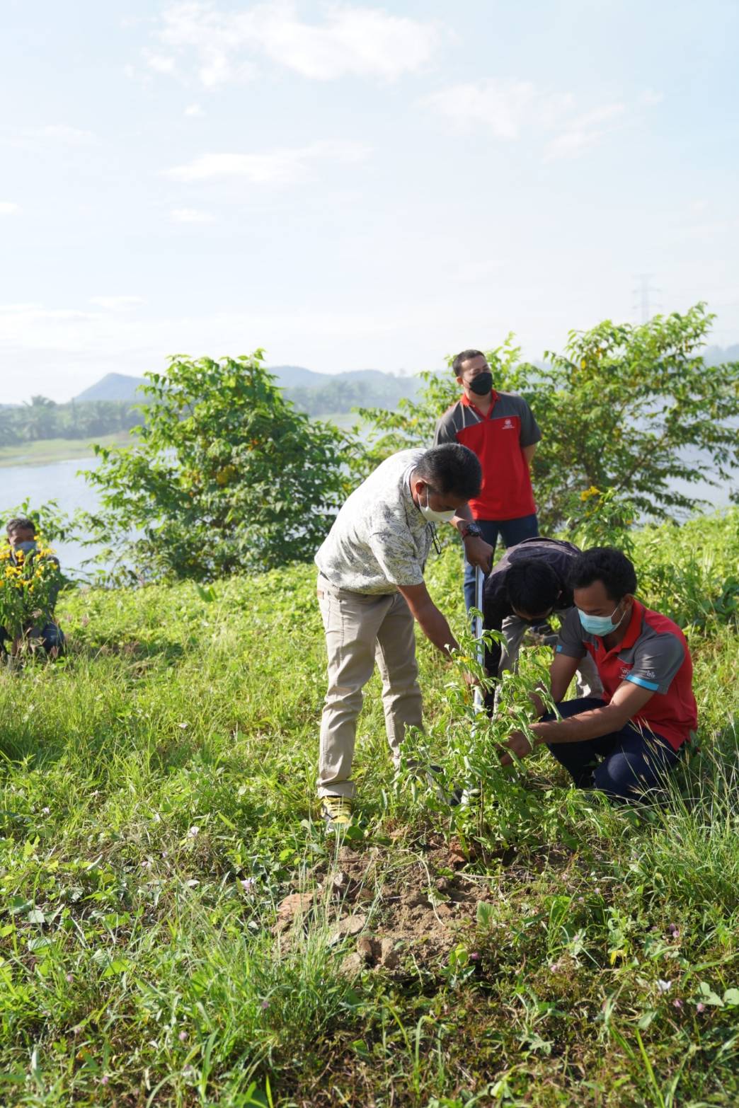 CSR activities planting trees to reduce global warming – Suksomboon