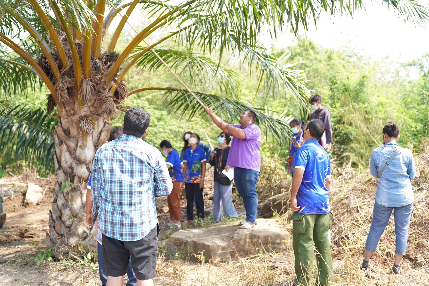Training on leaf sampling – Suksomboon